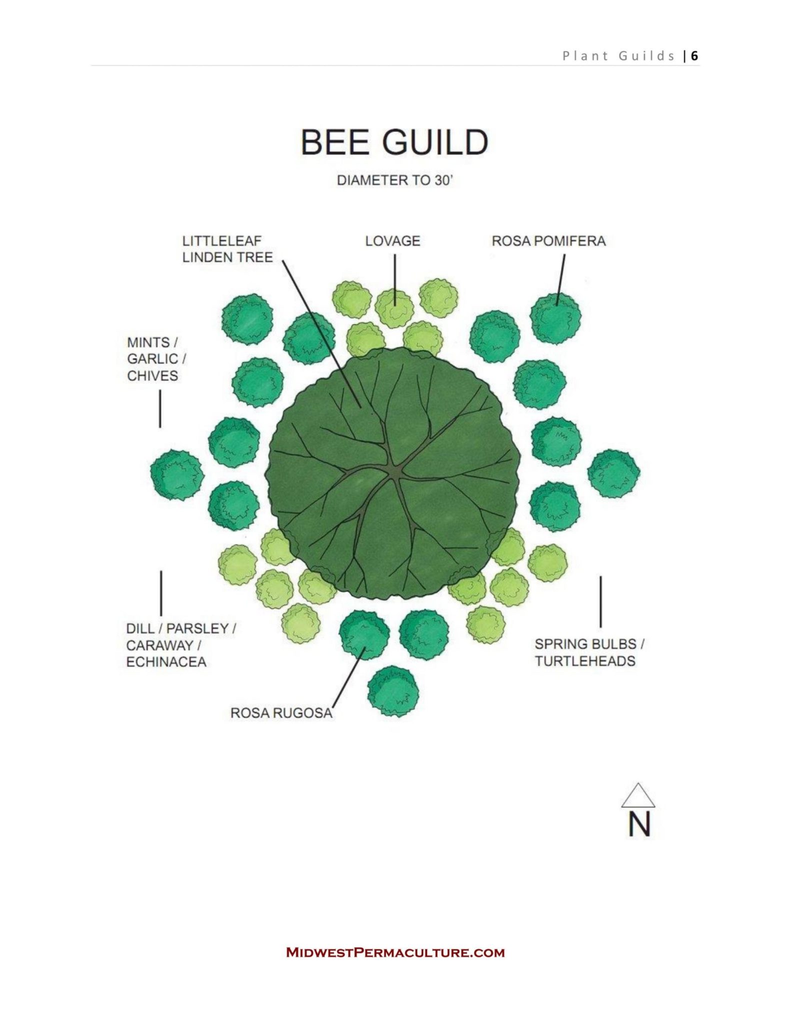 Plant Guilds | Midwest Permaculture