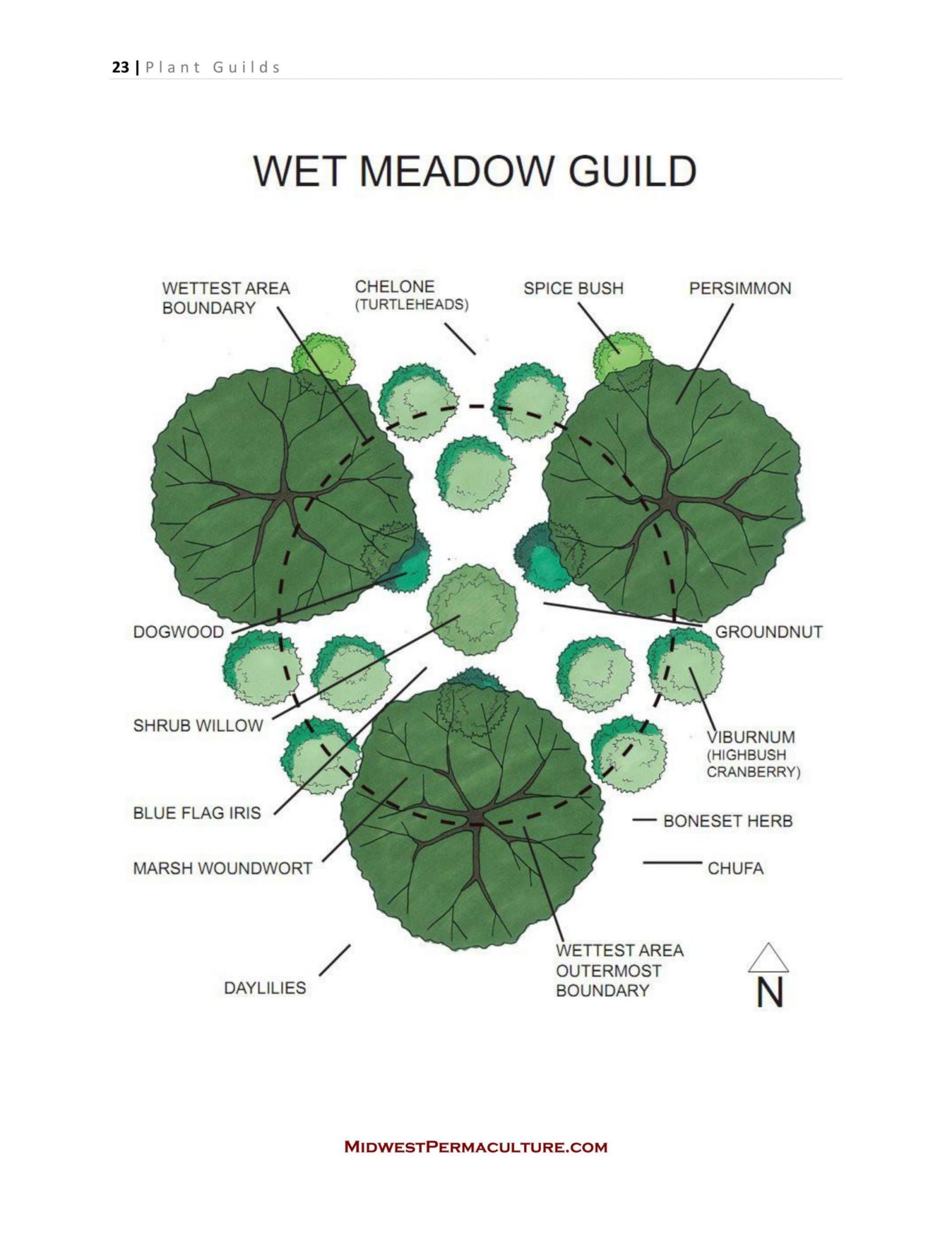 Plant Guilds | Midwest Permaculture
