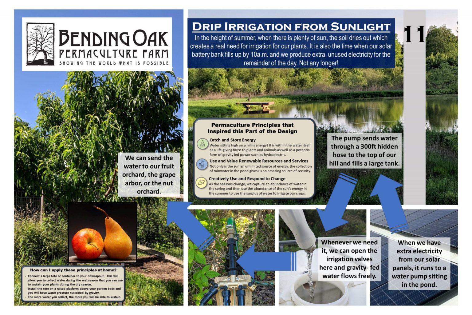 Bending Oak Permaculture Farm, Design-Element Permaculture Posters ...