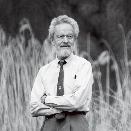 Foundations of Permaculture Webinar Series | Midwest Permaculture