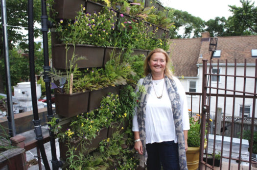 Foundations of Permaculture Webinar Series | Midwest Permaculture